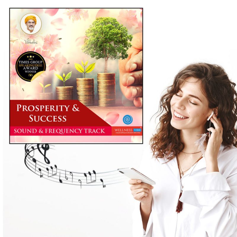 Prosperity Premium Kit - Wellness Vibe - Center for Sound Healing and ...
